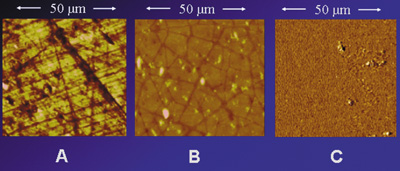 Contact Lens Spectrum | PentaVision