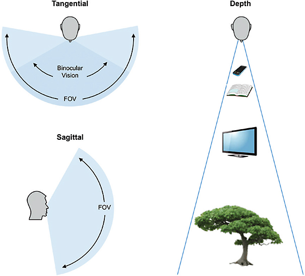 Contact Lens Spectrum | PentaVision