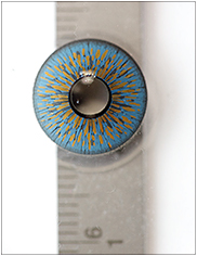 Contact Lens Spectrum | PentaVision